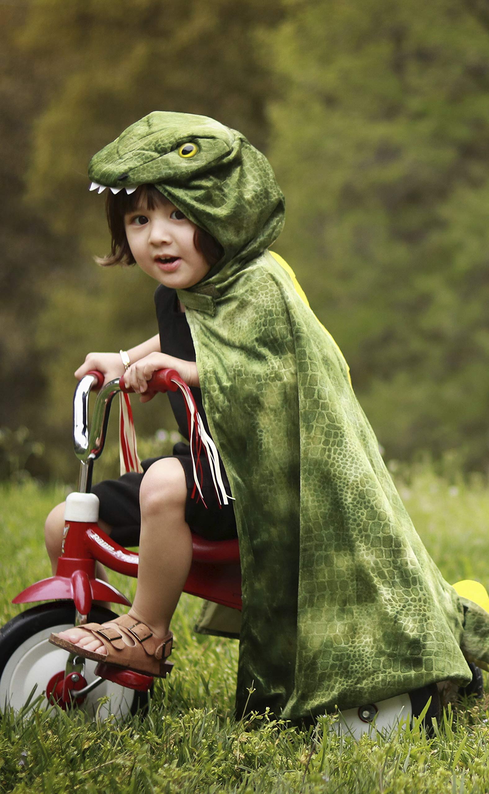 Great Pretenders T-Rex Hooded Cape, Size 4-5 Dress-Up Play