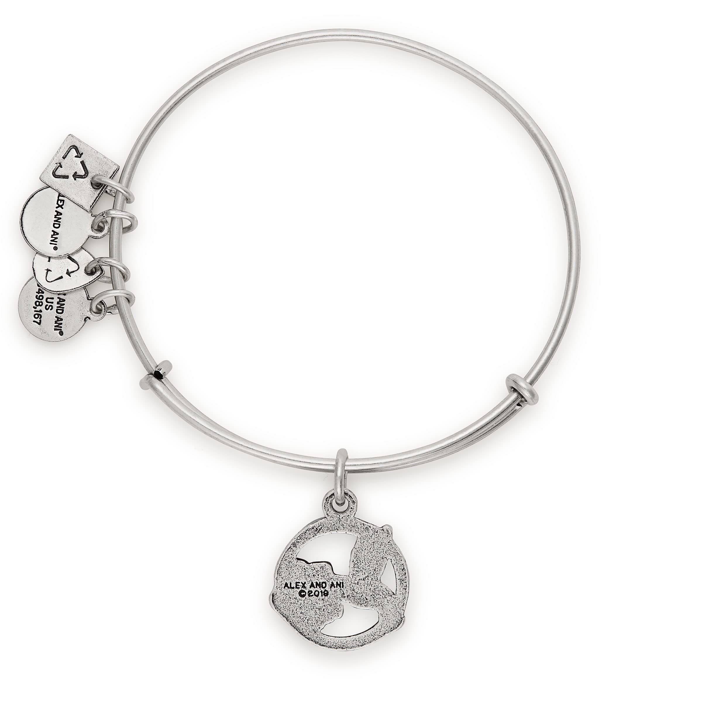 Alex and Ani Tokens Expandable Bangle for Women, Hummingbird Charm, Rafaelian Silver Finish, 2 to 3.5 in
