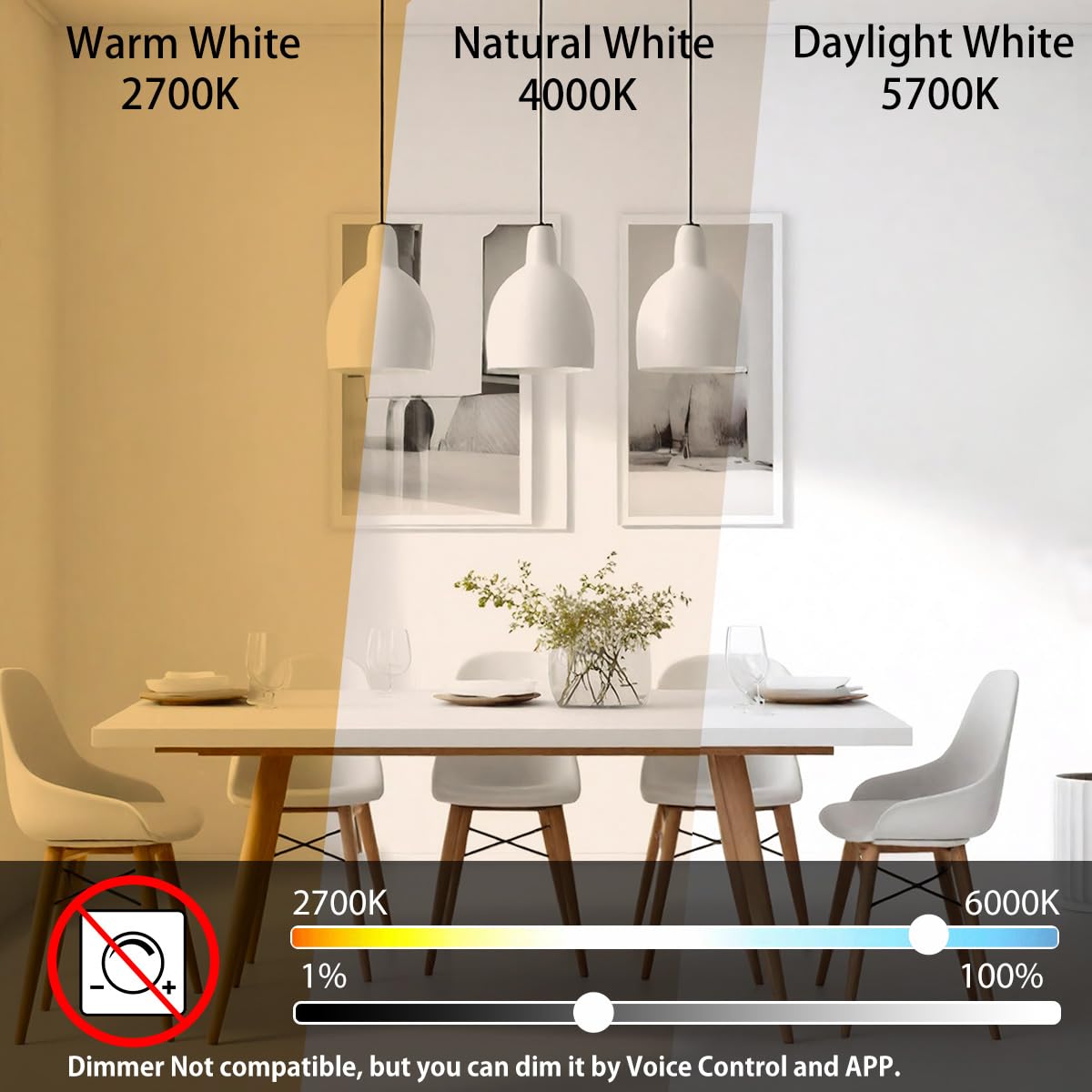 ILC G120 LED Large Globe Light Bulbs 15W, Work with Alexa Required Echo Device, Φ4.72 inch, Color Changing, CCT Color Temprature Turnable 2700K-6000K, CRI>95+, 150W Equivatlent, E26 Base (2 Pack)