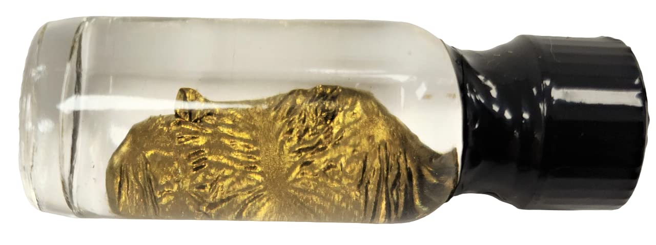 CCS CONSOLIDATED CHEMICAL & SOLVENTS Liquid Gold Ferrofluid Magnetic Liquid Display 15ML (1/2oz)