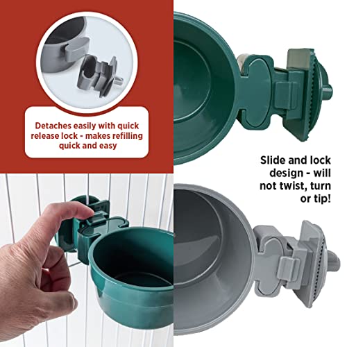 Hari Lock & Crock Food and Water Bowl, Pet Bird Cage Accessory, Large, Gray (81942)