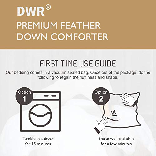 DWR Premium Feather Down Comforter Duvet Insert - 100% Skin-Friendly Cotton, Medium Weight Quilted for All Season Bedding (Full/Queen, Ivory White)