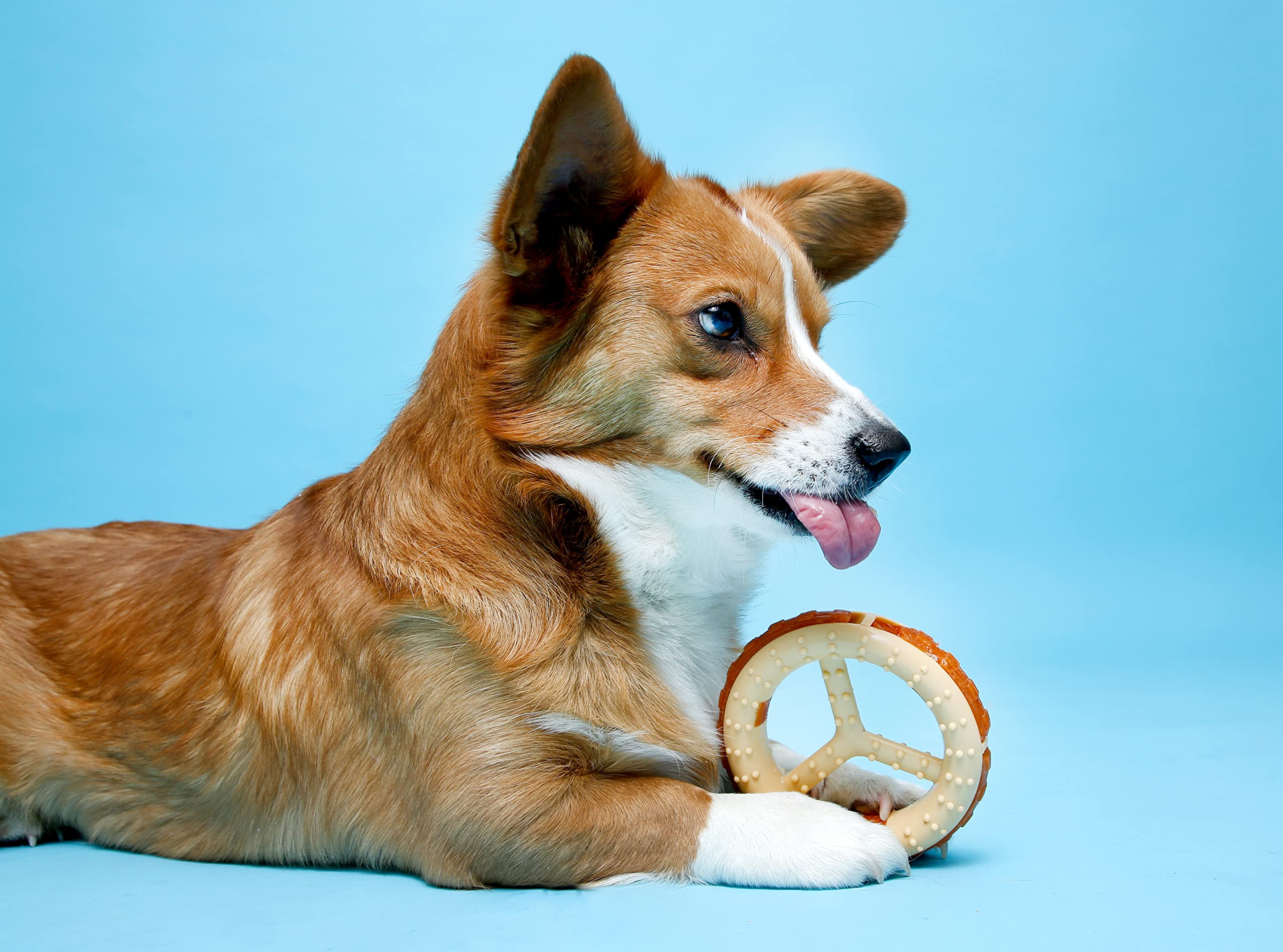 Hartz Chew ‘n Clean Chew Toy and Treat in One Chicken Flavored Ring Dog Toy, Medium