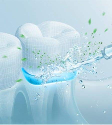 Panasonic WEW0982X503 Replacement Nozzle WEW0982X503 (Pack of 2) for EW1611 Oral Irrigator Original Accessories