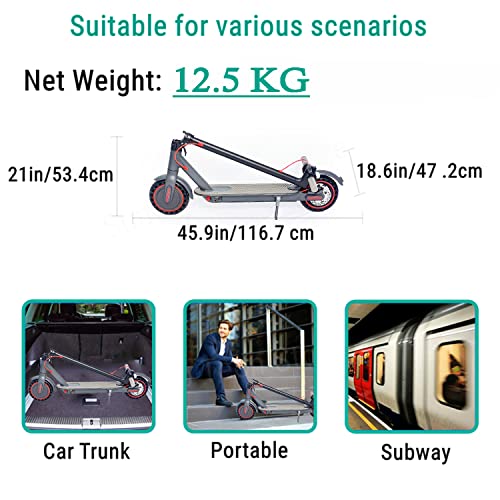 Electric Scooter, 350W App Enabled Commuting E-Scooter up to 19 MPH & 20 Miles, Max Load 220 Lbs, Folding Adults Sport Scooter with Dual Braking System for Adult, Teen & Kids