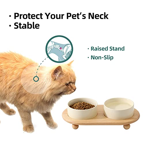 Havniva Ceramic Elevated Cat Food and Water Bowl , Kitty Bowl , Raised Cat Dish , Cat Feeder (2 x Cream White + Stand)