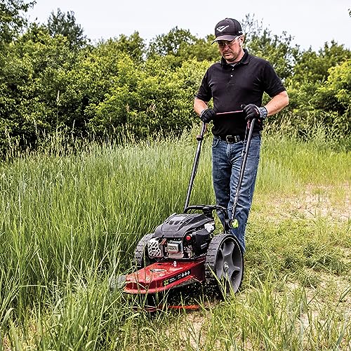 Earthquake Walk Behind String Mower With 160cc Viper 4-Cycle Engine, 22β Cutting Diameter, 14β Never-Go-Flat Wheels, Easy Assembly, Adjustable Handlebar, Model # 40314