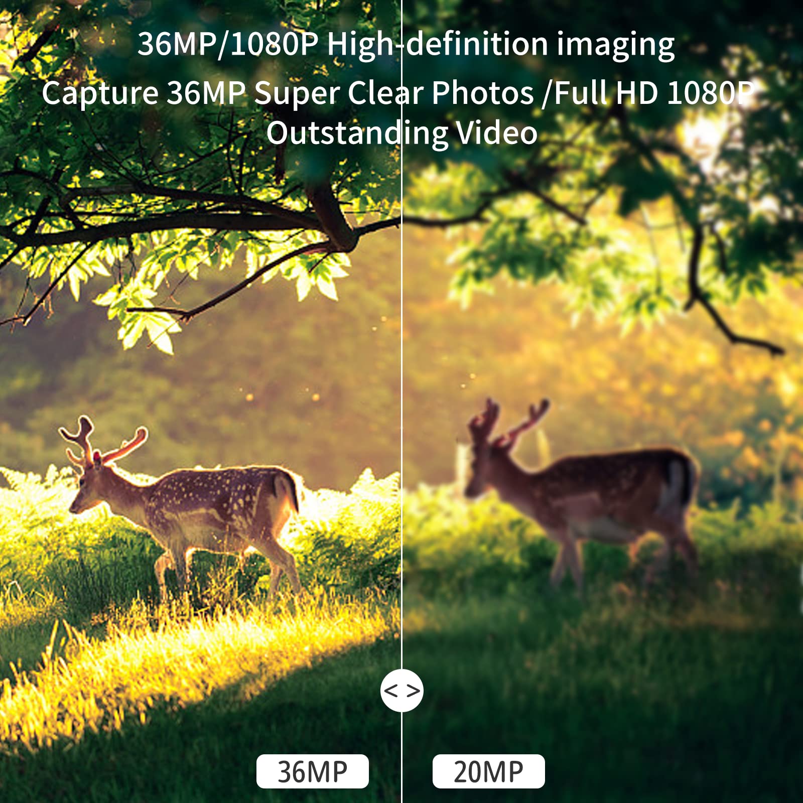Baleyanm Trail Camera, 1080P 36MP Hunting Gear Game Camera with Night Vision Motion Activated Waterproof, Cellular Trail Camera 0.2s Trigger 120° Wide Angle Detection for Wildlife Deer Camera