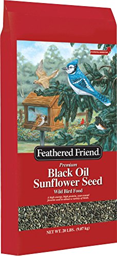Feathered Friend Black Oil Sunflower Wild Bird Seed, 20 Lb.