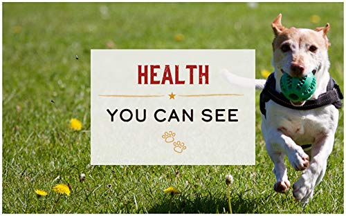 Merrick Limited Ingredient Diet Grain Free Wet Dog Food Real Lamb Recipe - 12.7 Ounce (Pack of 12)