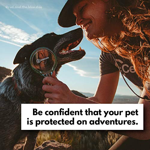 Cedarcide Flea + Tick Pet Brush (Quart Pack) | Durable Grooming Brush Effectively Applies Cedarcide Original Biting Insect Spray to Kill + Repel Fleas Ticks & Mosquitoes | for Pet Cats and Dogs