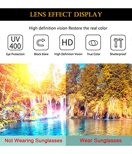 EYLRIM Thick Square Frame Sunglasses for Women Men Fashion Chunky Rectangle Sun Glasses Black Shades(10 Transparent Grey/Grey)