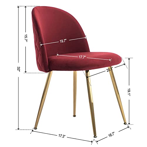 HNY Velvet Accent Chairs Set of 2, Mid Century Modern Dining Chairs with Gold Metal Legs, Upholstered Side Chair for Living 2PC