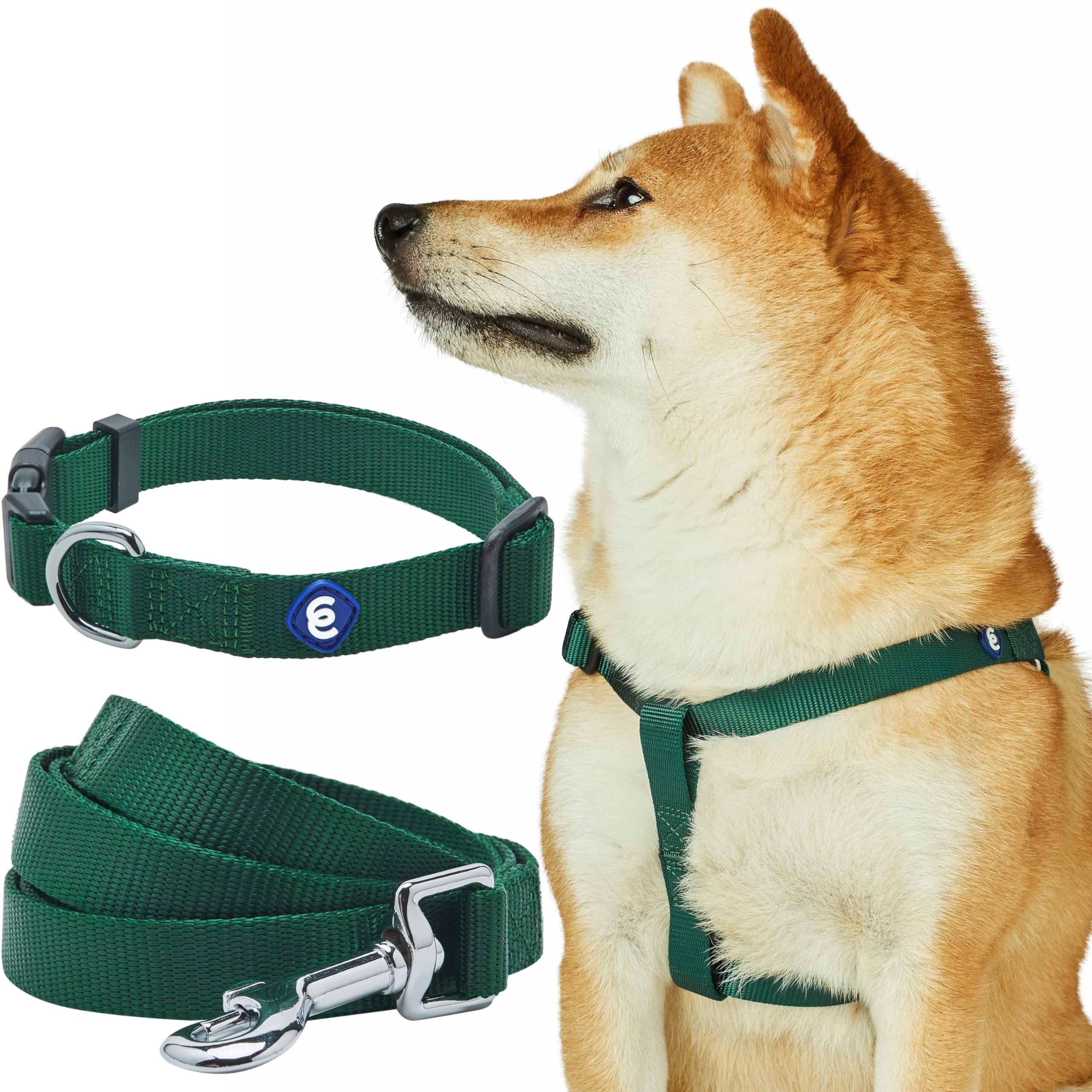 Blueberry Pet Essentials Matching Dog Collar Leash Harness Set in Verdant Green, Adjustable Classic Solid Color Nylon Collar with Harness & 5 ft Leash for Small Dogs