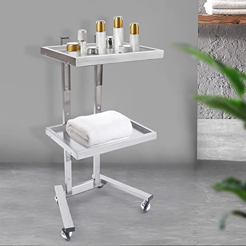 DNYSYSJ Beauty Salon Stand Rolling Cart, 2 Tier Spa Beauty Machine Holder Trolley, Salon Storage Trolley Stand, for Salons Studios Shops Medical Shops and Dentists