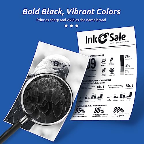 INK E-SALE Replacement for HP CE505A 05A Toner Cartridge for use with HP Laserjet P2035 P2035n P2050 P2055 P2055d P2055dn P2055x Series Printer, 2 Pack Black