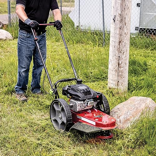 Earthquake Walk Behind String Mower With 160cc Viper 4-Cycle Engine, 22β Cutting Diameter, 14β Never-Go-Flat Wheels, Easy Assembly, Adjustable Handlebar, Model # 40314