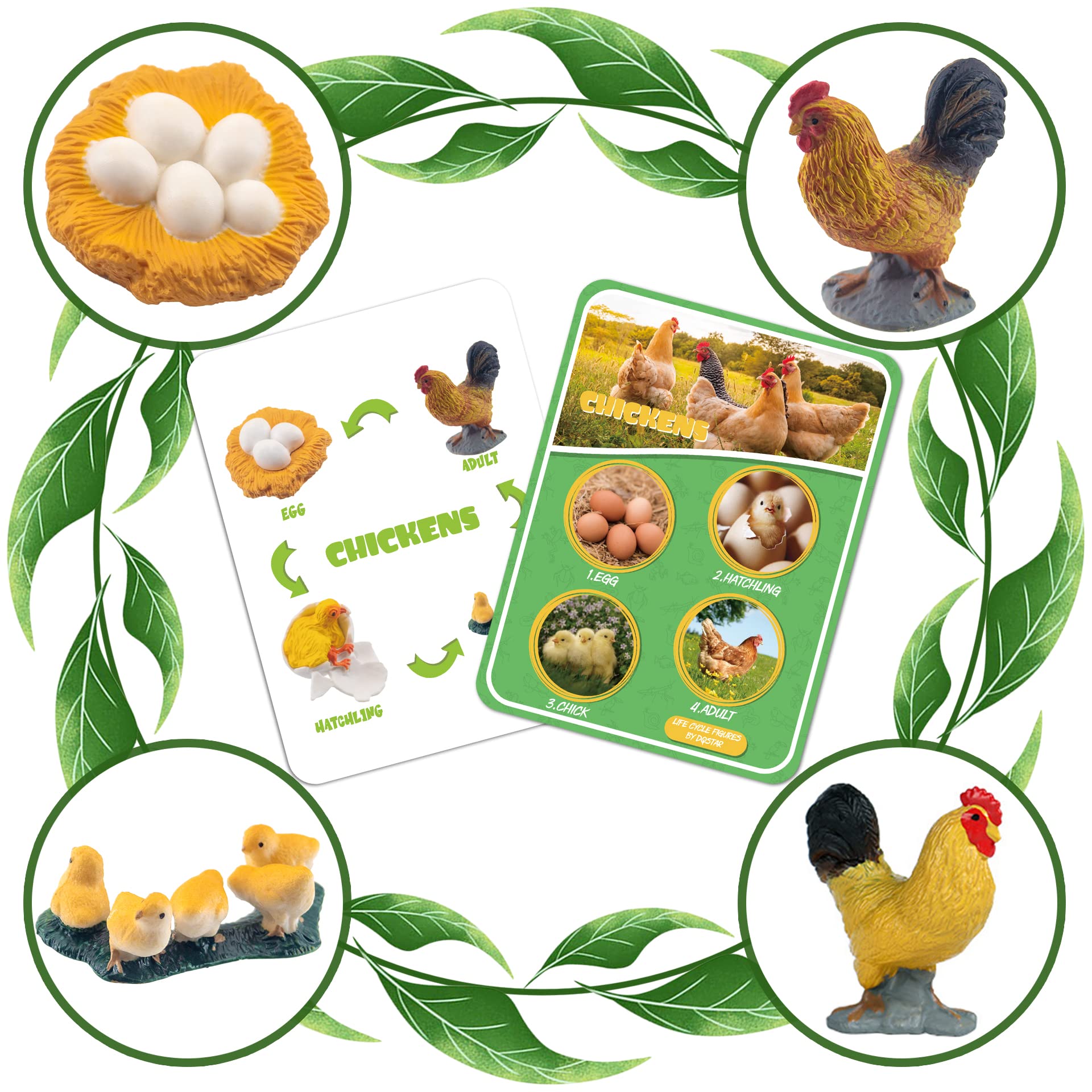 Life Cycle Figures of Frog, Chicken, Sea Turtle, Butterfly, Wasp, Locust, Science Toys kit, Animal Figures for Kids Age 3-12