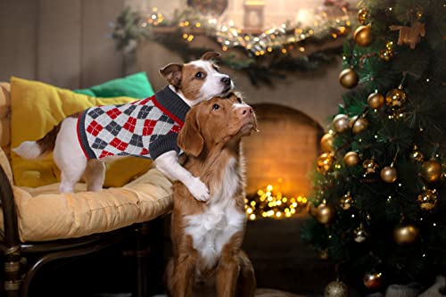 D4DREAM Dog Sweaters for Puppy,Small Size Sweater for Dogs,Winter Cute Classic Pet Sweater,Turtleneck Doggie Sweater with Leash Hole