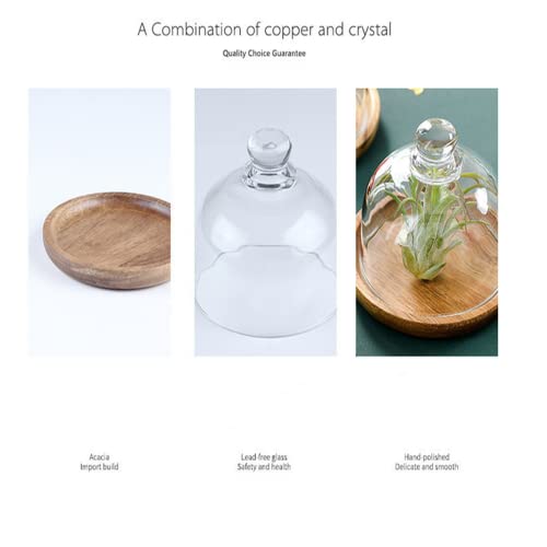 Glass Dome with Wooden Base Mini Cheese Plant Platter Dessert Plate Cake Plate for Cheese Candy Decorative and Succulents Display Clear Glass Jar 4.13"x3.74"x3.15"