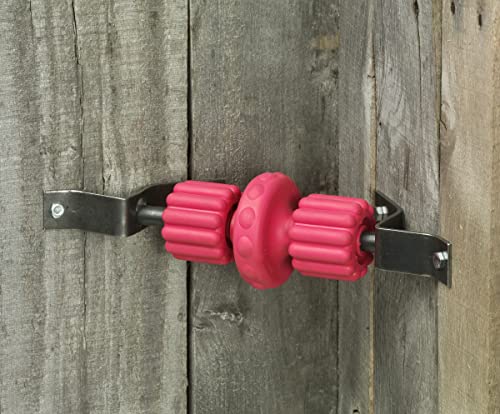Horsemen's Pride Horse Pas-a-Fier Stall Toy for Horses