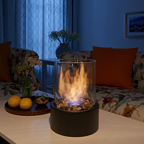 Danya B. Indoor/Outdoor Portable Tabletop Fire Pit β Clean-Burning Bio Ethanol Ventless Fireplace - Small