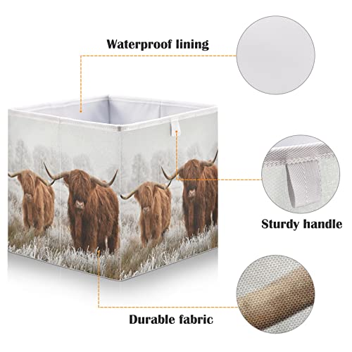 Highland Cow Storage Baskets for Shelves Foldable Collapsible Storage Box Bins with Waterproof Fabric Closet Organizers for Pantry Clothes Storage Toys, Books, Home, Office,16 x 11inch