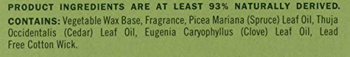 Mrs. Meyers Clean Day Candle - Iowa Pine, 4.90-Ounce (Pack of 2)
