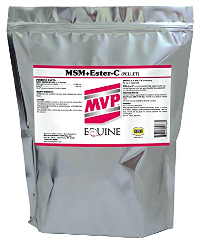 MSM+ Ester C (10lb) Immune Support for Horses