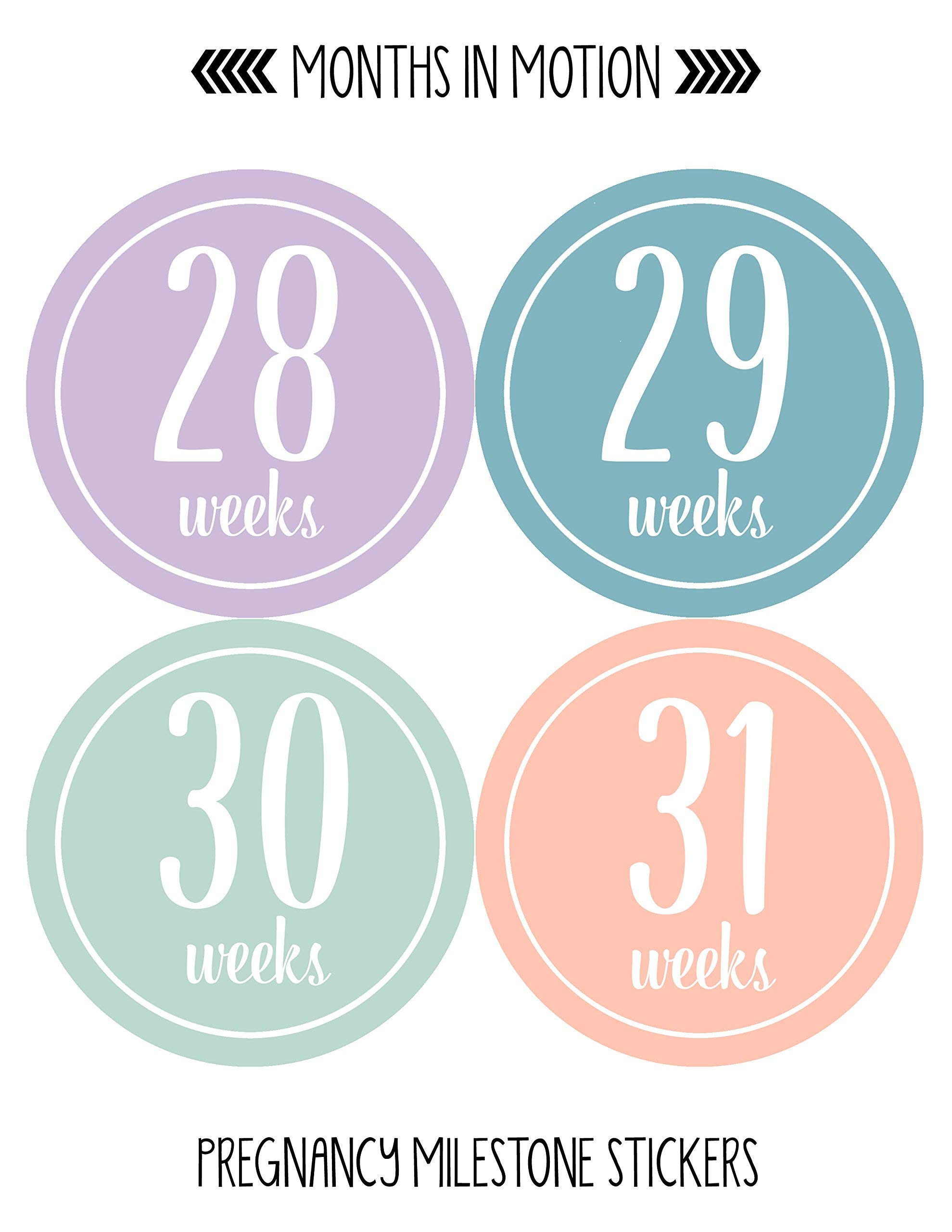 Months In Motion Pregnancy Weekly Belly Growth Stickers Pregnant Expecting Maternity Keepsake - Baby Bump - Large Set of 36 Weekly Photo Sticker