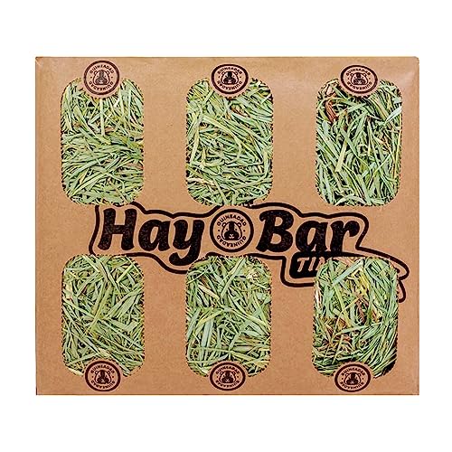 GuineaDad Timothy Hay Bar - Guinea Pig Food - 5 Pack - Pet Food for Rabbits, Small Animals, Hamster Food - Filtered & Hand Packed Guinea Pig Hay - Keeps Hay Secure and Encourages Active Eating