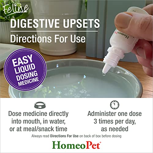 HomeoPet Feline Digestive Upsets, Natural Digestive Supplement for Cats, 15 Milliliters