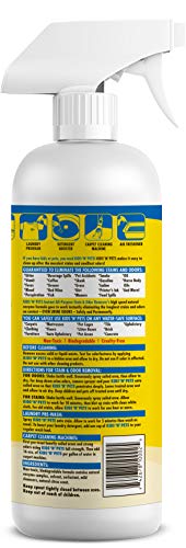 Kids 'N' Pets β Instant All-Purpose Stain & Odor Remover β 27.05 oz - (800 ml) β Pack of 2 - Proprietary Formula Permanently Eliminates Tough Stains & Odors β Even Urine Odors