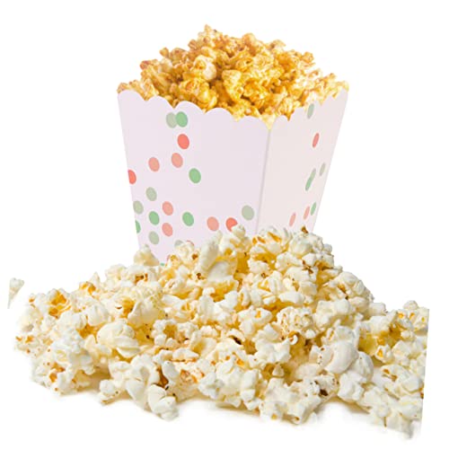jojofuny 24pcs Popcorn Boxes Wedding Confetti Wedding Party Supplies Party Treat Boxes Candy Box Popcorn Treat Box Party Popcorn Boxes Set up Snack Box Chicken Popcorn Box Dessert