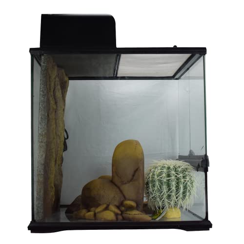 Exo Terra Desert Habitat Kit, Reptile Terrarium Starter Kit, Medium, PT2652A1