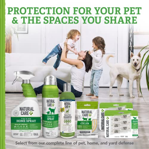 Natural Care Flea and Tick Spray for Dogs and Cats | Flea Treatment for Dogs and Cats | Flea Killer with Certified Natural Oils | 14 Ounces