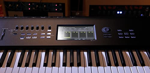 Korg Nautilus 61-Key Performance Synth Workstation Bundle with Sustain Pedal, MIDI Cables, and Austin Bazaar Polishing Cloth