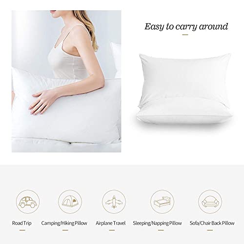 Toddler Pillow with Pillowcase | 13 x 18 Soft Hypoallergenic 100% Organic Cotton Baby Pillows for Sleeping | Small Kids Pillow, Infant - Perfect for Travel, Cribs Bed Sets, Machine Washable