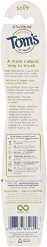 Tom's of Maine Naturally Clean Toothbrush, Soft, 6-Pack (Packaging May Vary)
