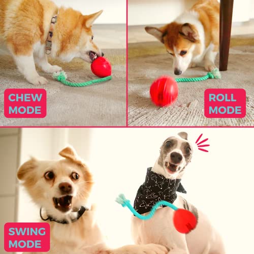 FOSSA Interactive Dog Toys, Crate Training Aids for Puppies, Puzzle Treat Dispenser with Rope