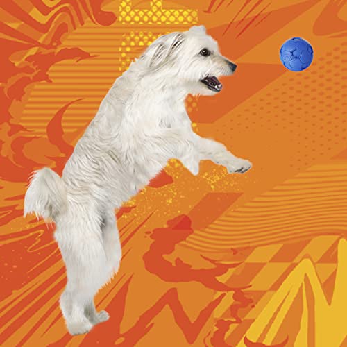 Nerf Dog Soccer Ball Dog Toy with Interactive Squeaker, Lightweight, Durable and Water Resistant, 2.5 Inches, For Small/Medium/Large Breeds, Two Pack, Blue and Red