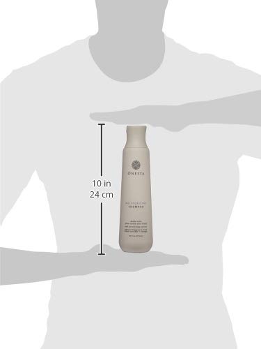 Onesta Hair Care Plant Based Moisturizing Shampoo for Dry and Damaged Hair, 16 Ounces
