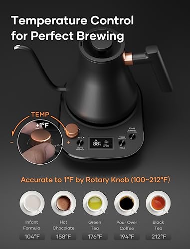 INTASTING Electric Kettle, Electric Tea Kettle with LCD Display, ±1℉ Temperature Control Gooseneck Electric Kettle, Auto Shut-Off/Keep Warm/Brew Timer, Quick Heating Hot Water Kettle Electric, 0.9L