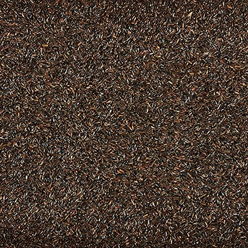 Kaytee Nyjer Wild Bird Food Seed, 3 Pound