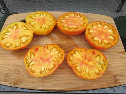 Hillbilly Heirloom Tomato Seeds- 30+ Seeds