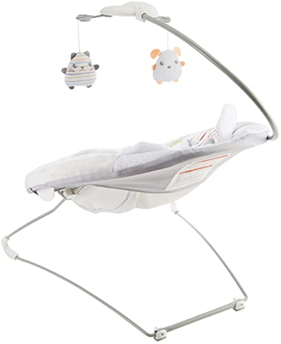 Fisher-Price Sweet Snugapuppy Deluxe Bouncer, portable bouncing baby seat with overhead mobile, music, and calming vibrations [Amazon Exclusive]