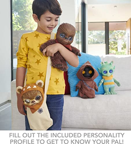 Mattel Star Wars Galactic Pals Plush Toy, Ewok 11-inch Soft Doll Set with Carrier & Personality Profile Card for Personalized Experience