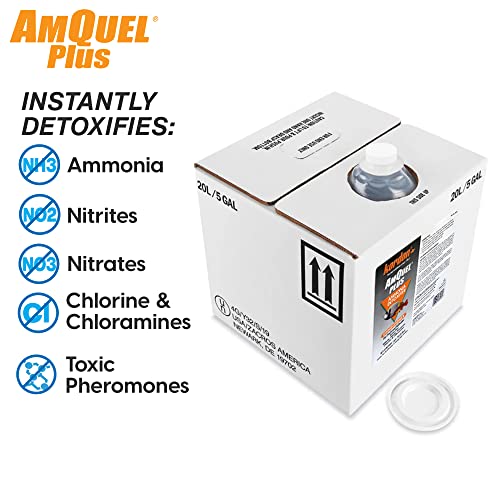 KORDON #33475 AmQuel Plus Water Treatment, 5-Gallon