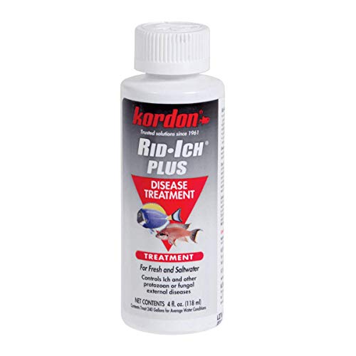 Kordon Rid-Ich Plus Aquarium Disease Treatment ā Controls Ich, External Parasites and Fungal Infections for Fresh and Saltwater Fish, Fast and Effective, 4-Ounces