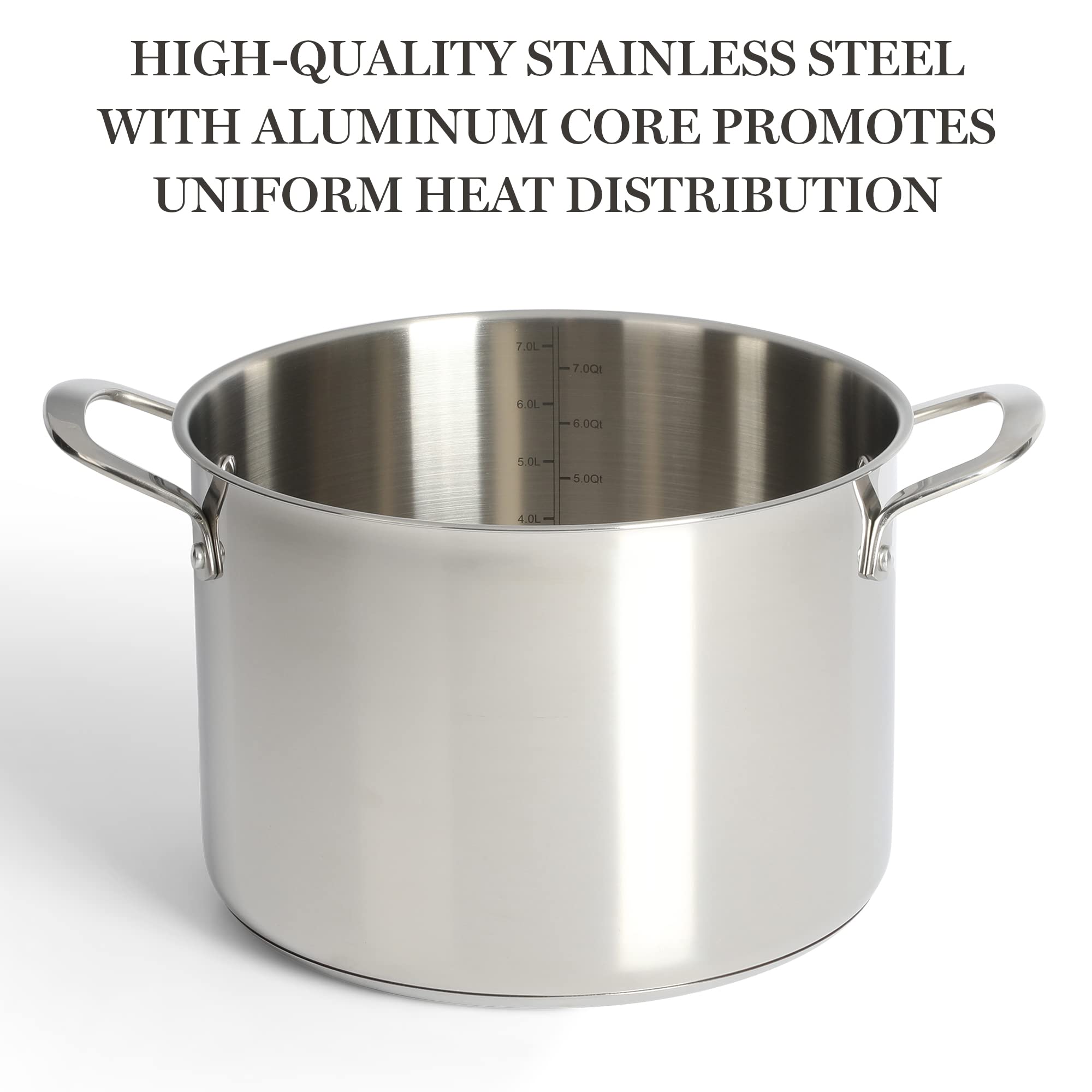 Martha Stewart Castelle 8-Quart 18/8 Stainless Steel Induction Safe Stock Pot w/Lid